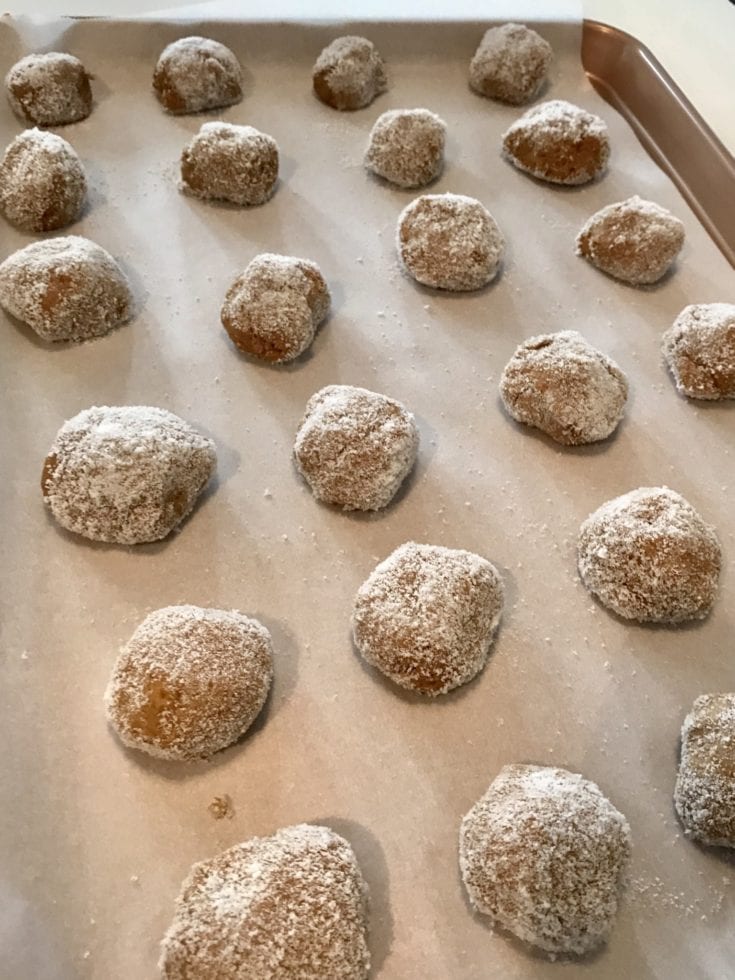 Soft Ginger Cookie - Pound Dropper