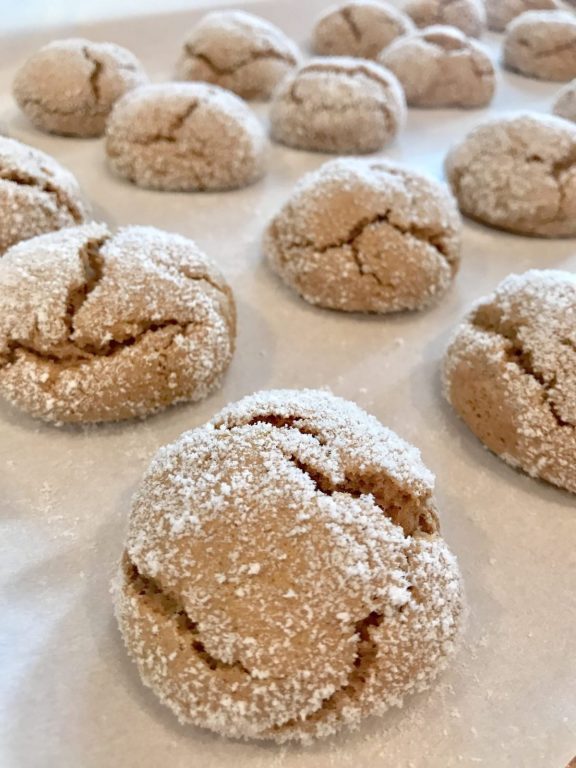 Soft Ginger Cookie - Pound Dropper