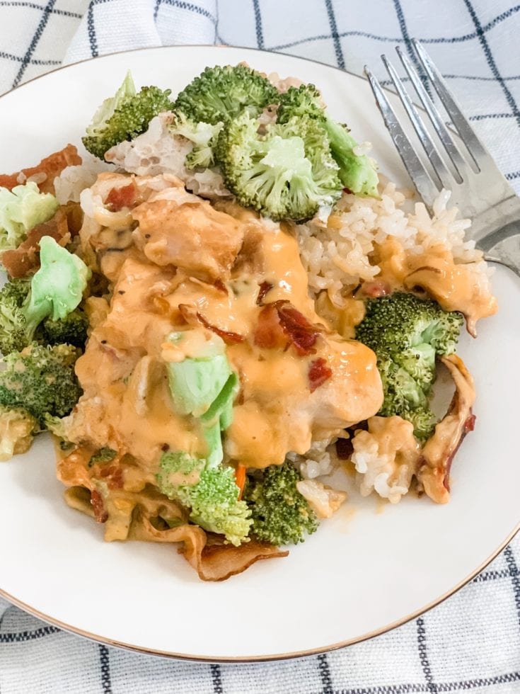 Cheesy Broccoli Chicken and Rice in Foil Packets - Pound Dropper