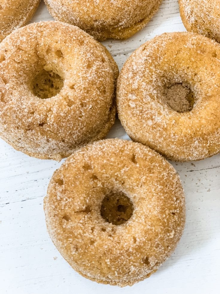 One Point Pumpkin Cinnamon and Sugar Donuts - Pound Dropper