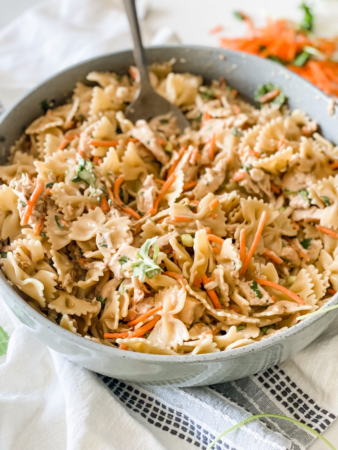 Asian Chicken Pasta Salad - Pound Dropper