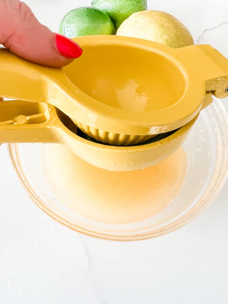 Easy Ceviche - Pound Dropper