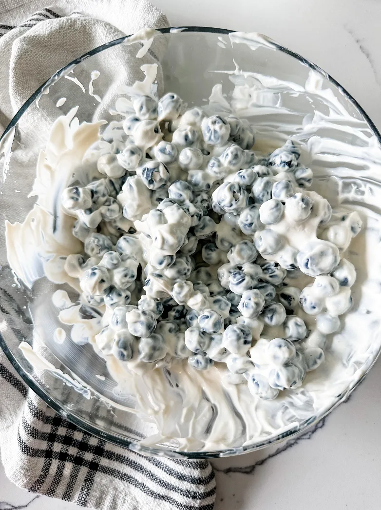 Yogurt Blueberry Clusters Dipped in Chocolate - Pound Dropper